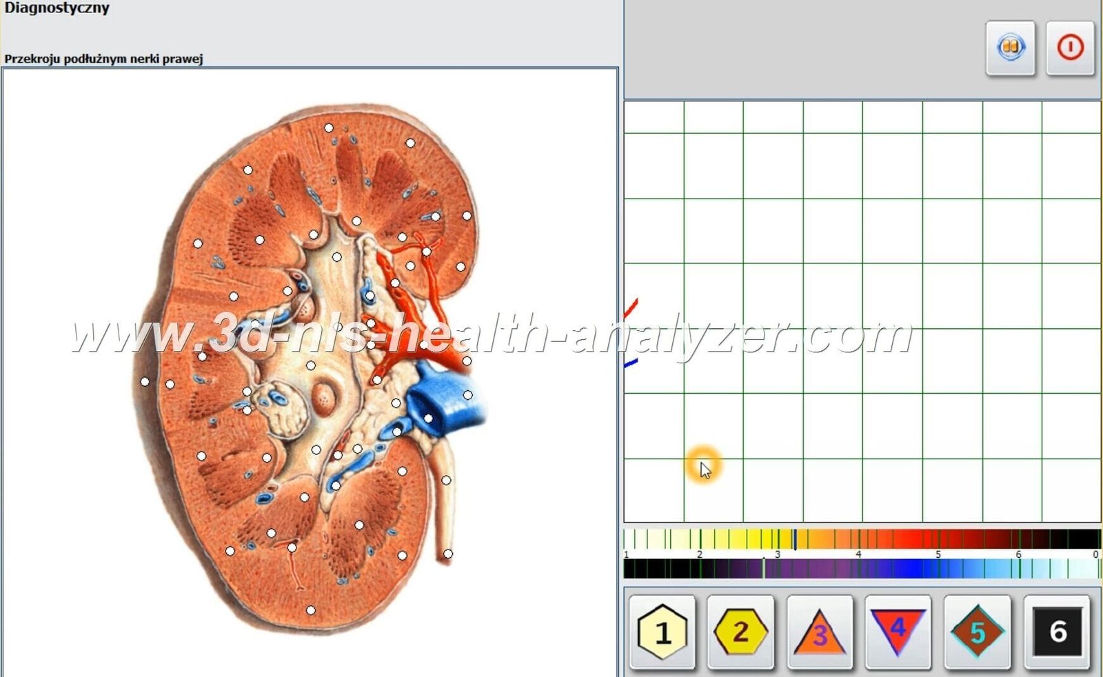 Health Diagnostic Scanner 3d:What It,how Use? - MAIKONG 3d Nls Health ...