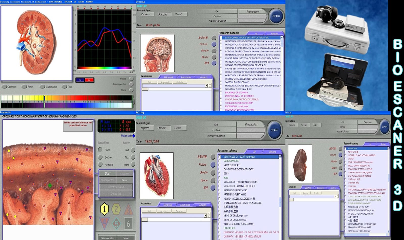 What Is 3d Nls Cell? - MAIKONG 3d Nls Health Analyzer | 3d Nls Health ...