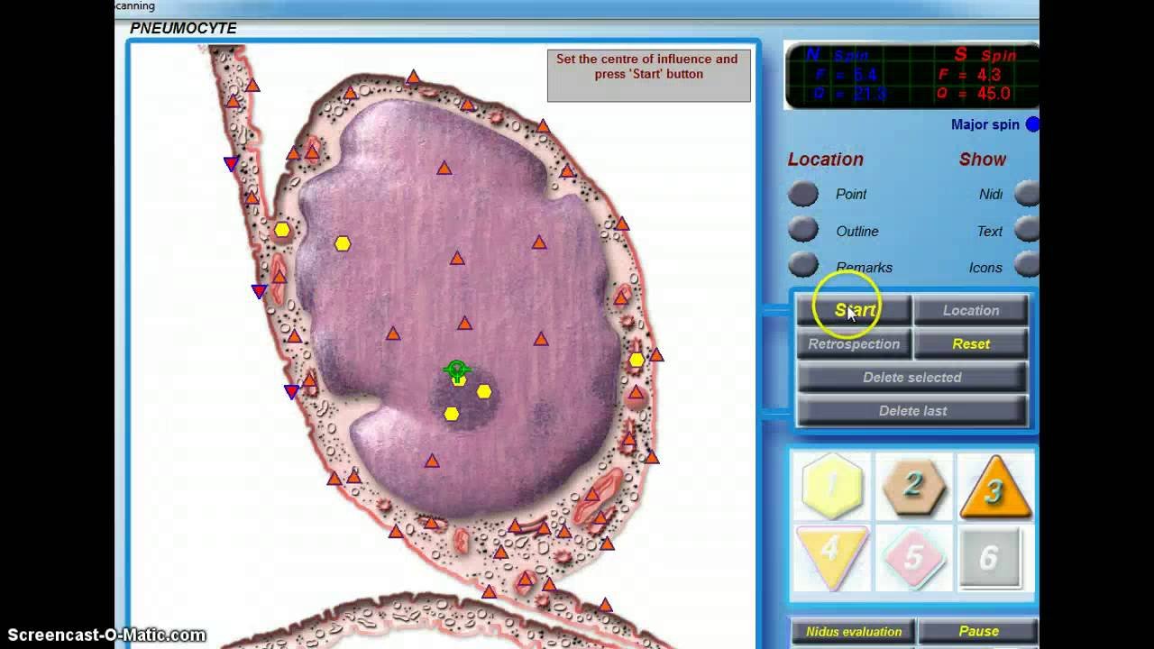 Best 3d nls scanner for 3D NLS - MAIKONG 3d nls health analyzer | 3d ...